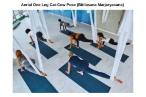 How to do Aerial Yoga Poses? Guide for Beginners